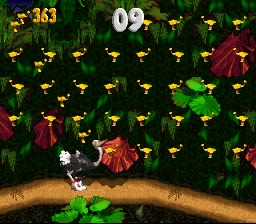 Donkey Kong Country Bonus: Expresso the Ostrich - National Videogame ...